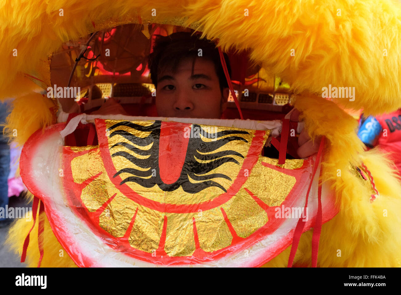 Chinese New Year, London: A Lion dance performer poses prior to ...