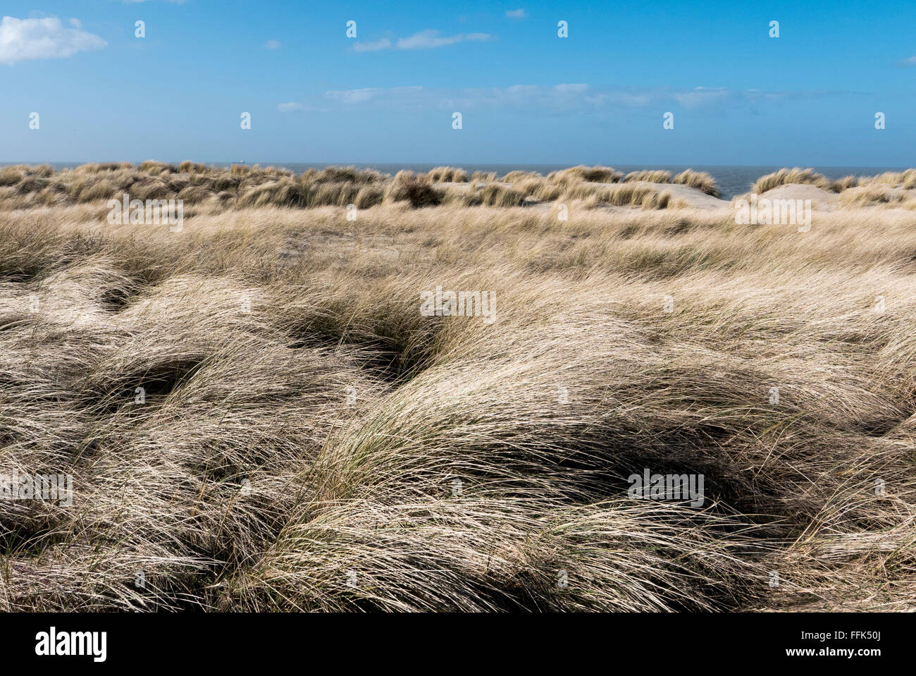 Halbinsel walcheren High Resolution Stock Photography and Images - Alamy