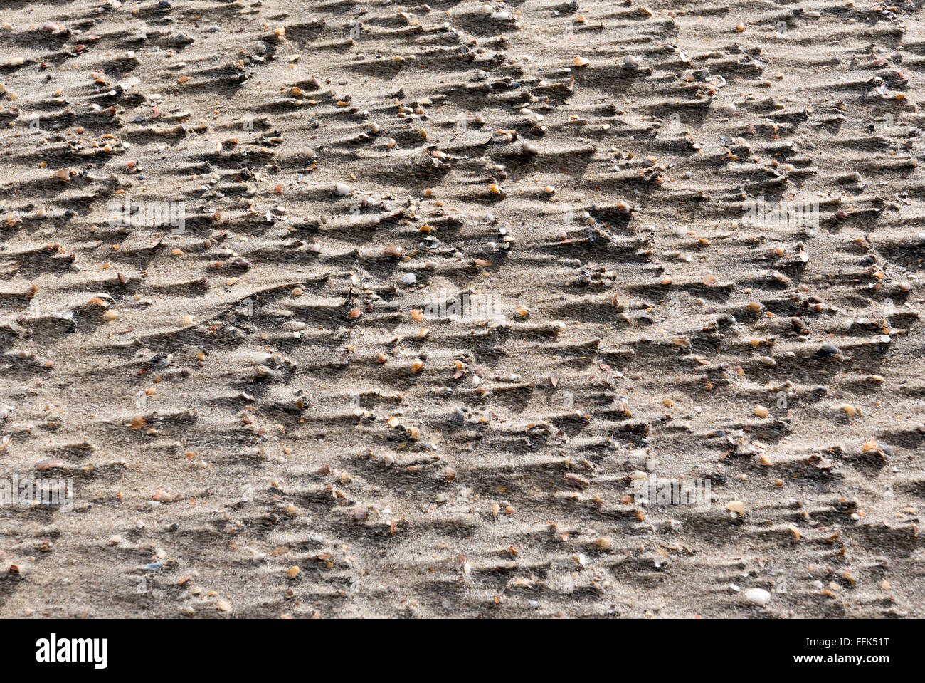 Struktur shell hi-res stock photography and images - Alamy