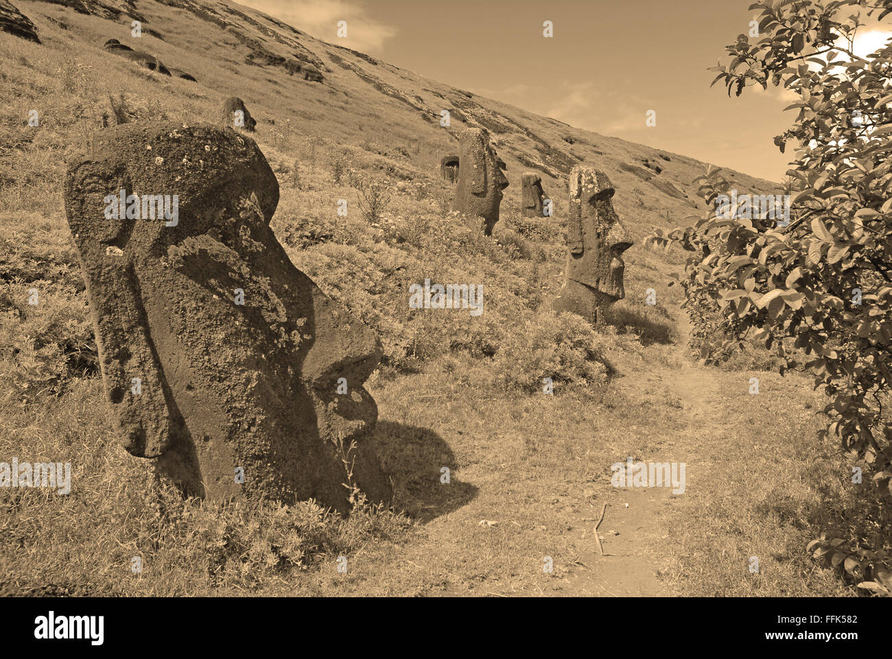 Moai stone statues, Rapa Nui, Easter Island, Chile Stock Photo - Alamy