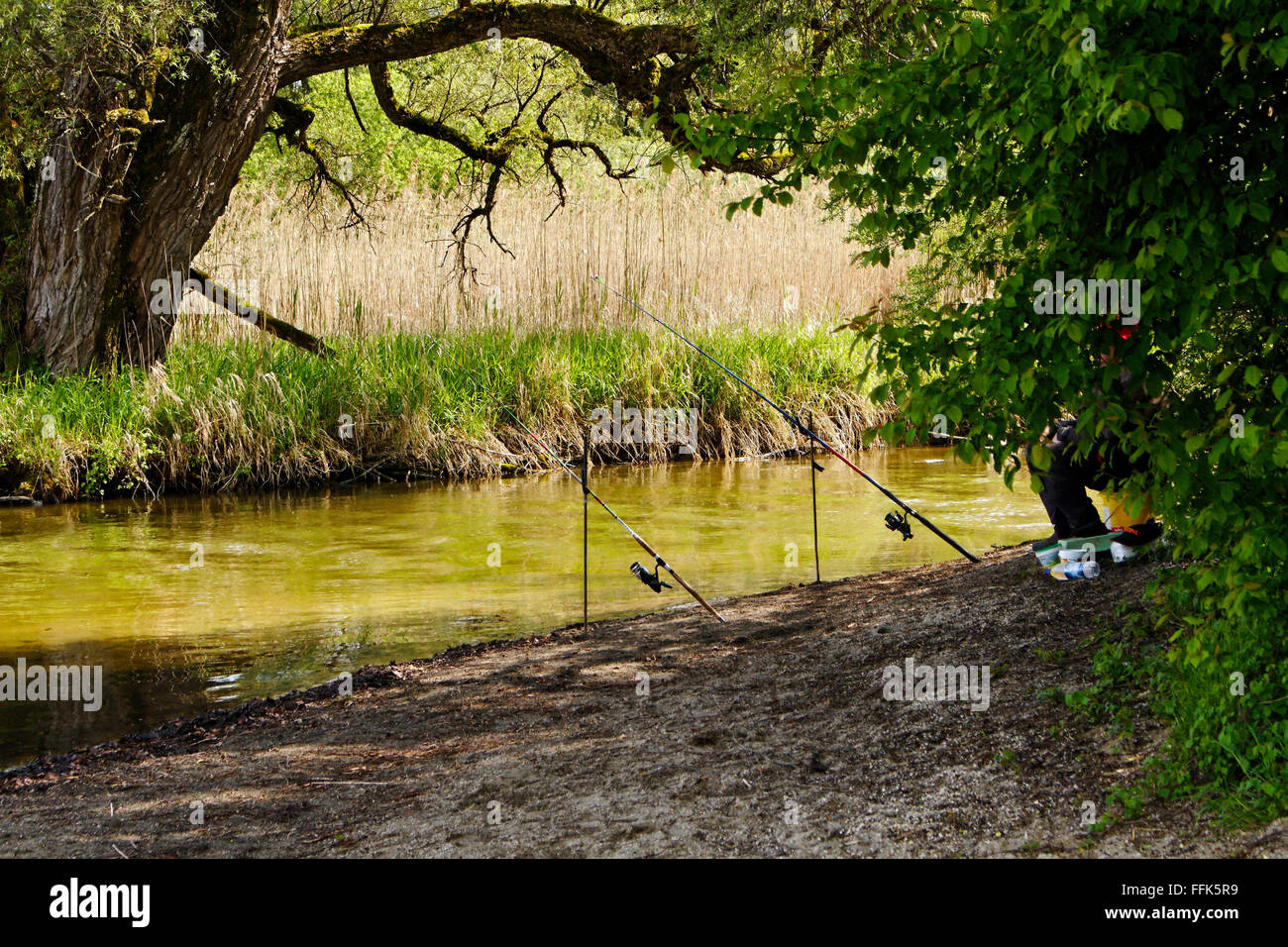 Man fishing in a stream leading to lake Chiemsee, Chiemgau, Upper ...