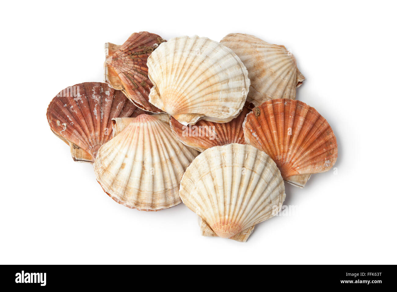 Fresh closed scallops on white background Stock Photo - Alamy