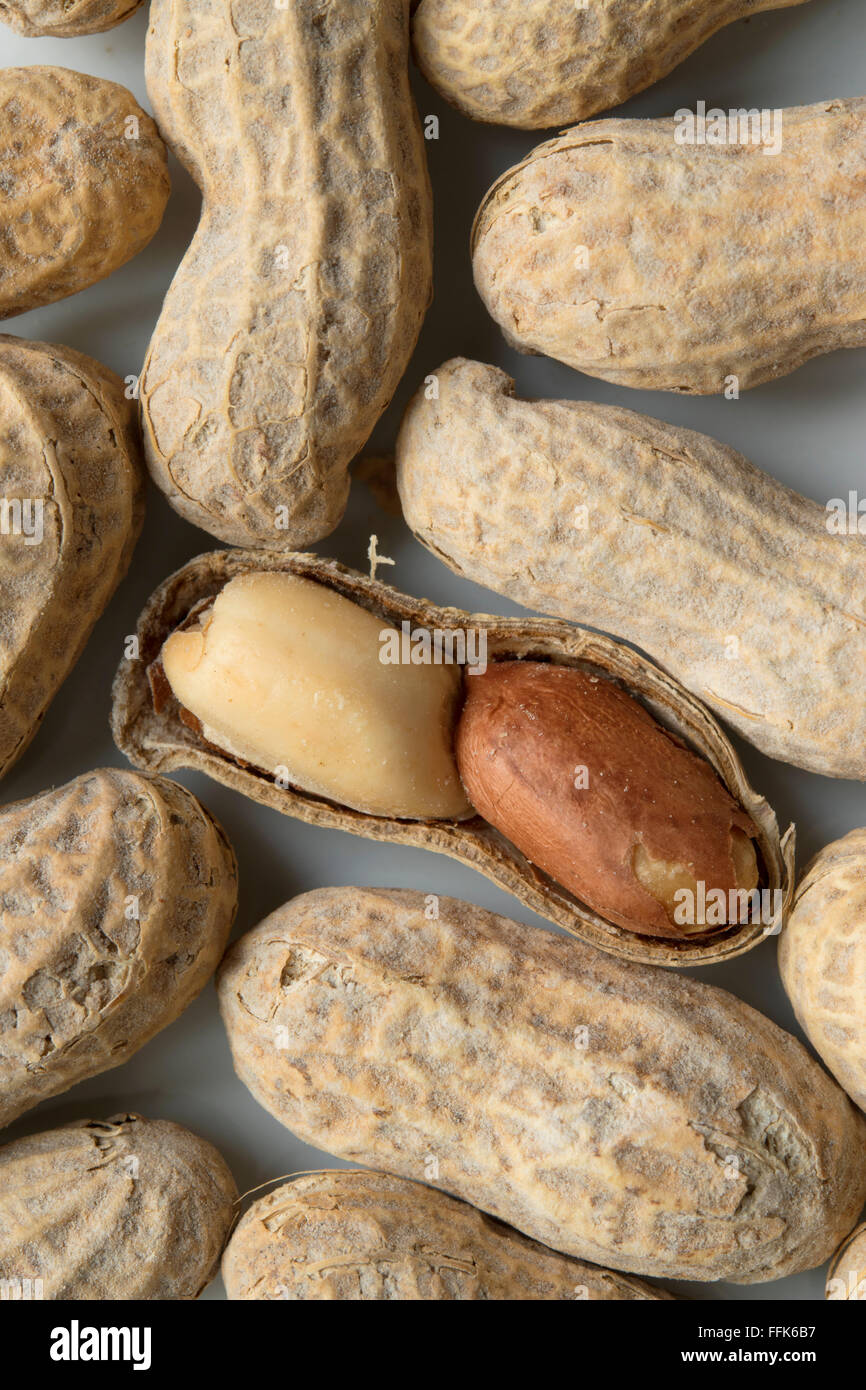 Cracked peanut shell hi-res stock photography and images - Alamy