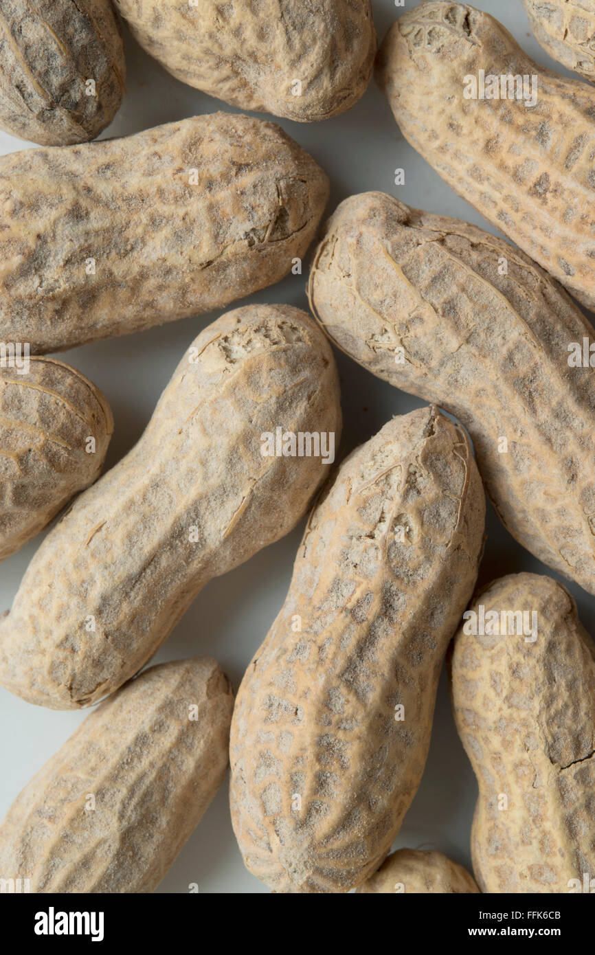 peanut in cracked shell on white plate Stock Photo - Alamy