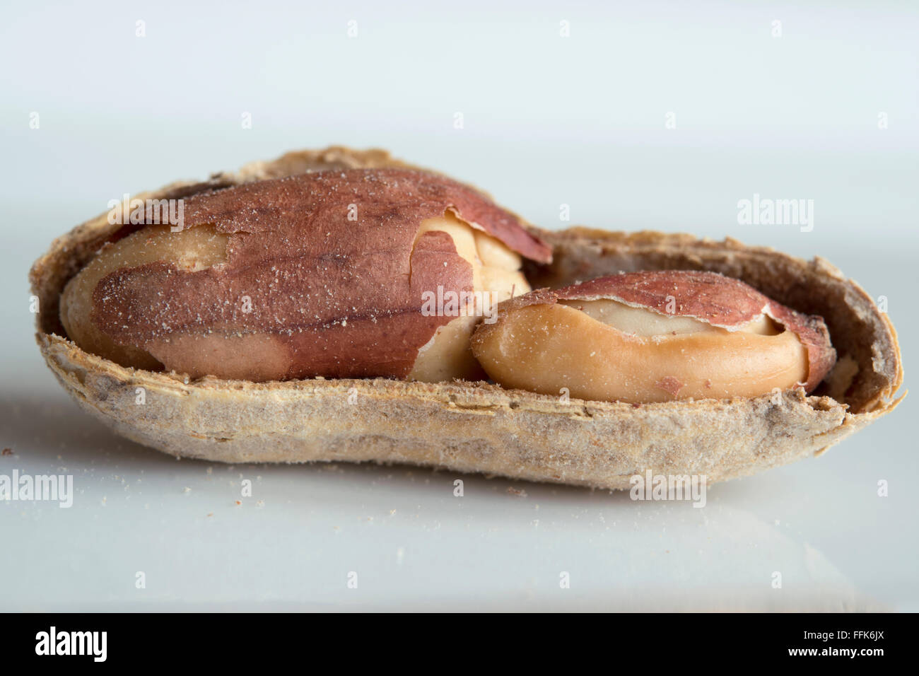 peanut in cracked shell on white plate Stock Photo - Alamy