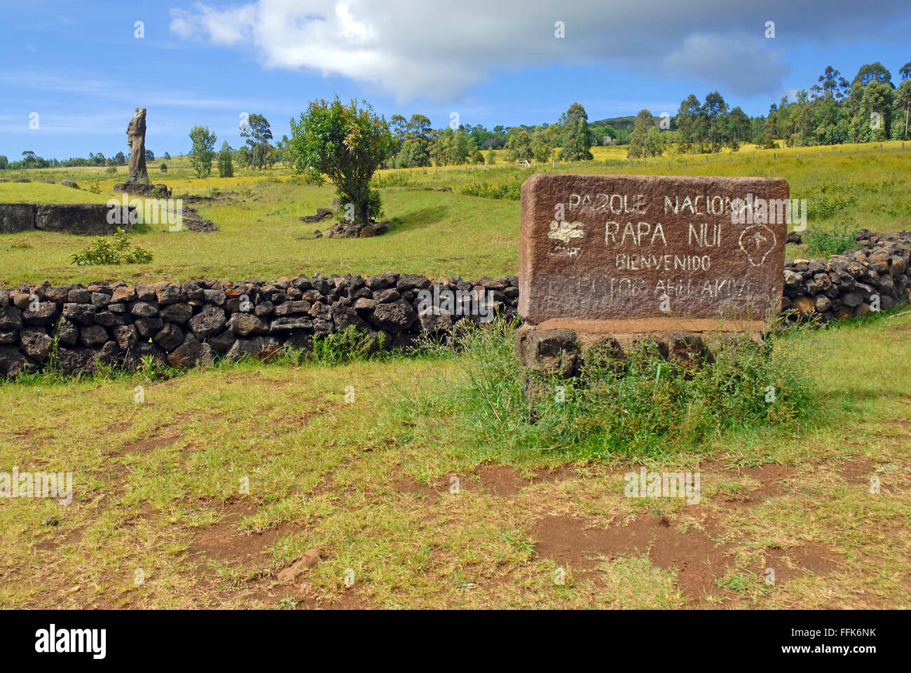 Moai stone statues, Rapa Nui, Easter Island, Chile Stock Photo - Alamy