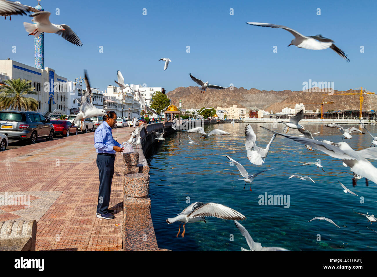 A Man Feeds The Birds On The Corniche (Promenade) At Muttrah, Muscat ...