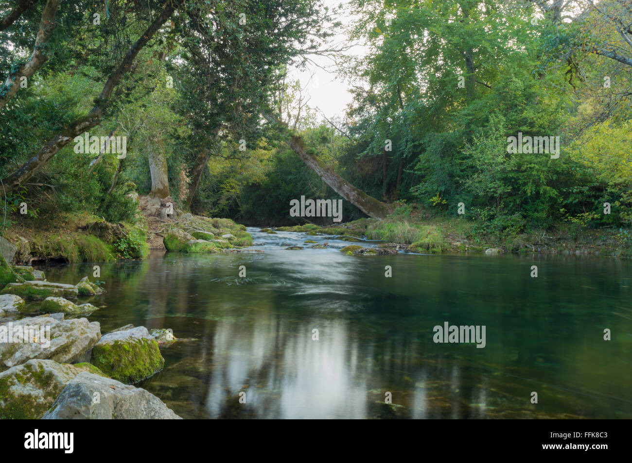 Stream in a forest in the Dordogne region of France Stock Photo - Alamy