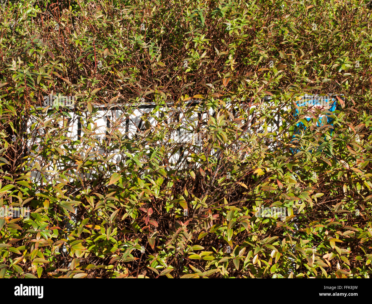 Overgrown road signs hi-res stock photography and images - Alamy