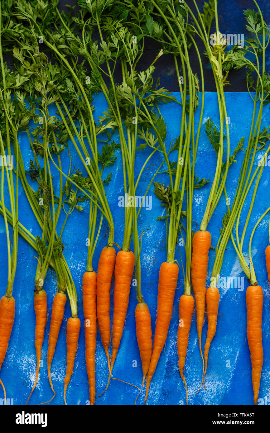 Baby Carrots, farm fresh Stock Photo - Alamy