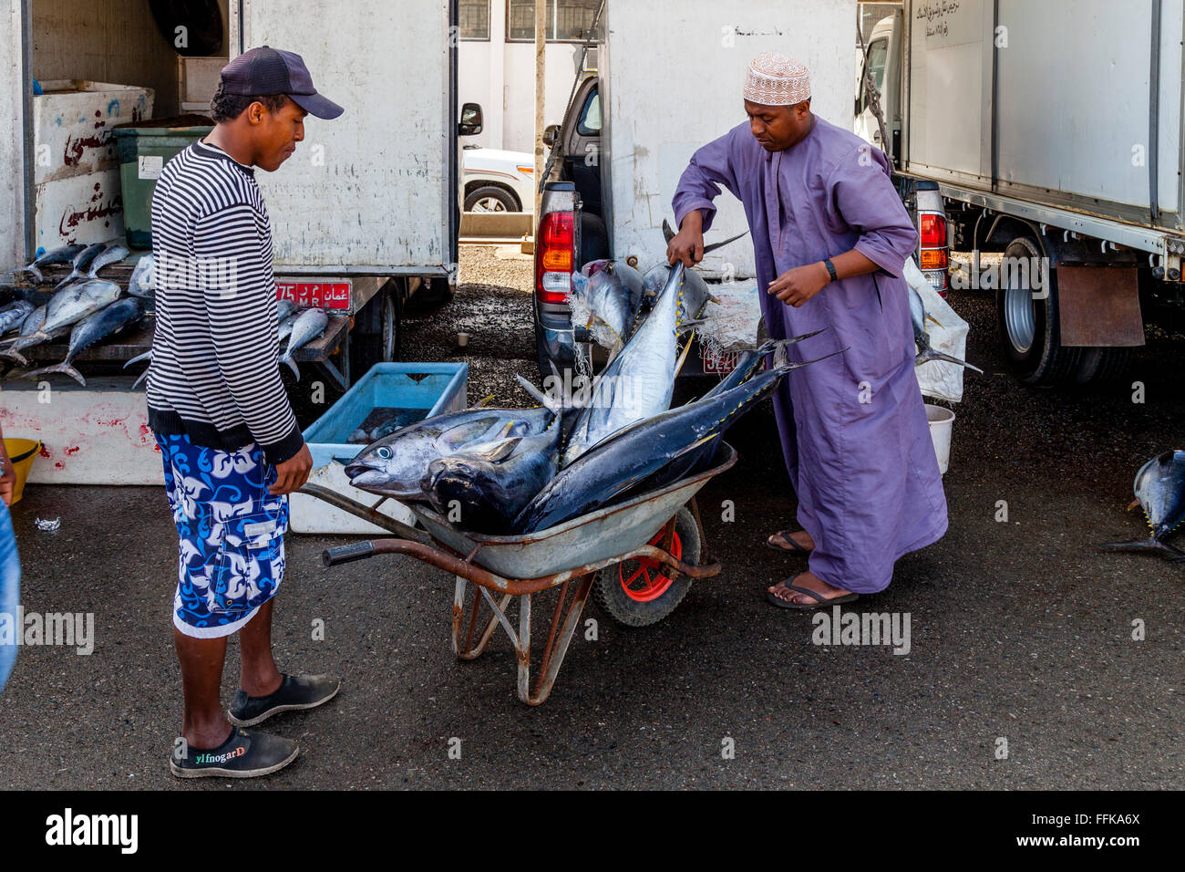 Fresh Fish Being Unloaded At The Fish Market, Muttrah, Muscat ...