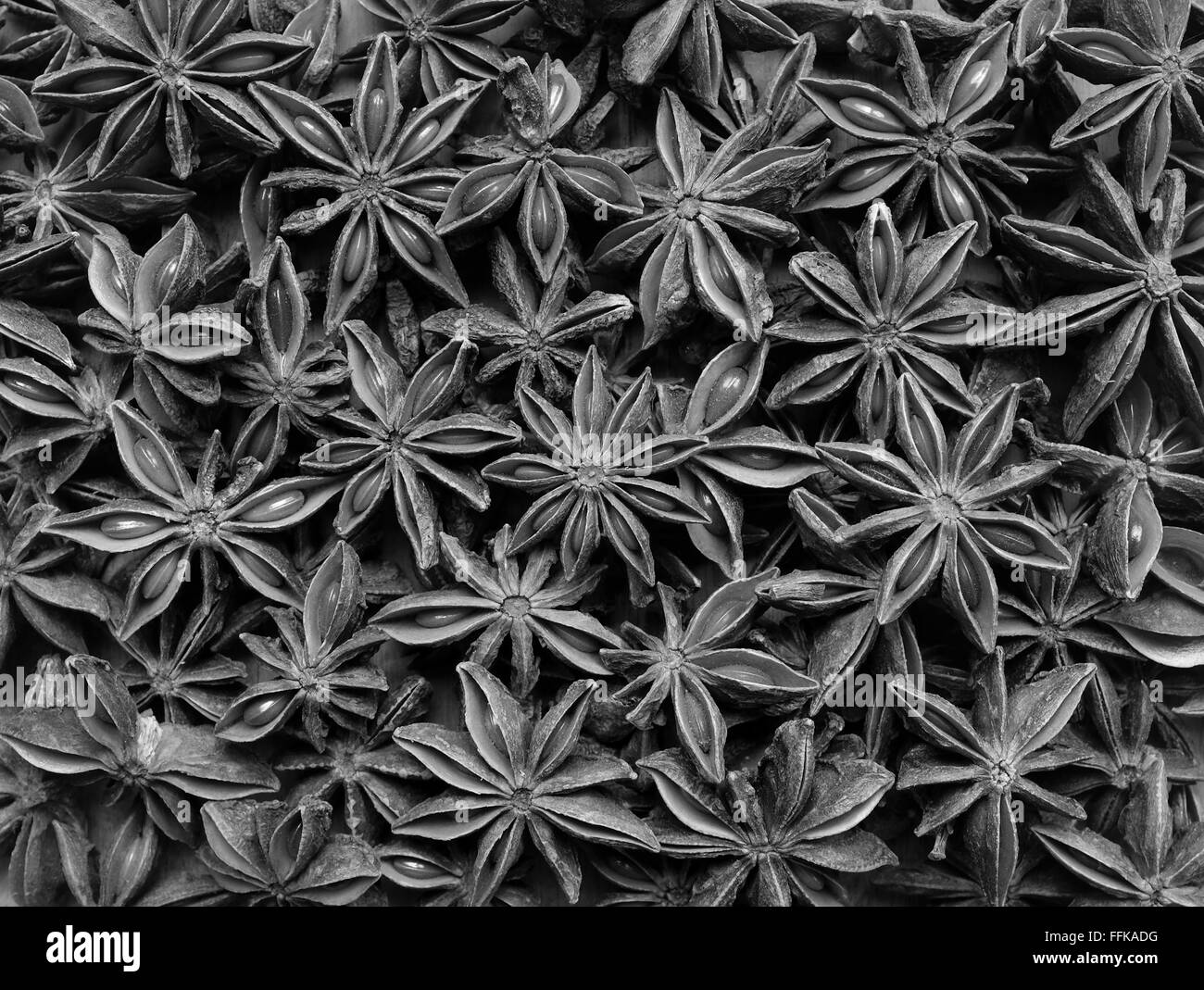 Anise star Black and White Stock Photos & Images - Alamy