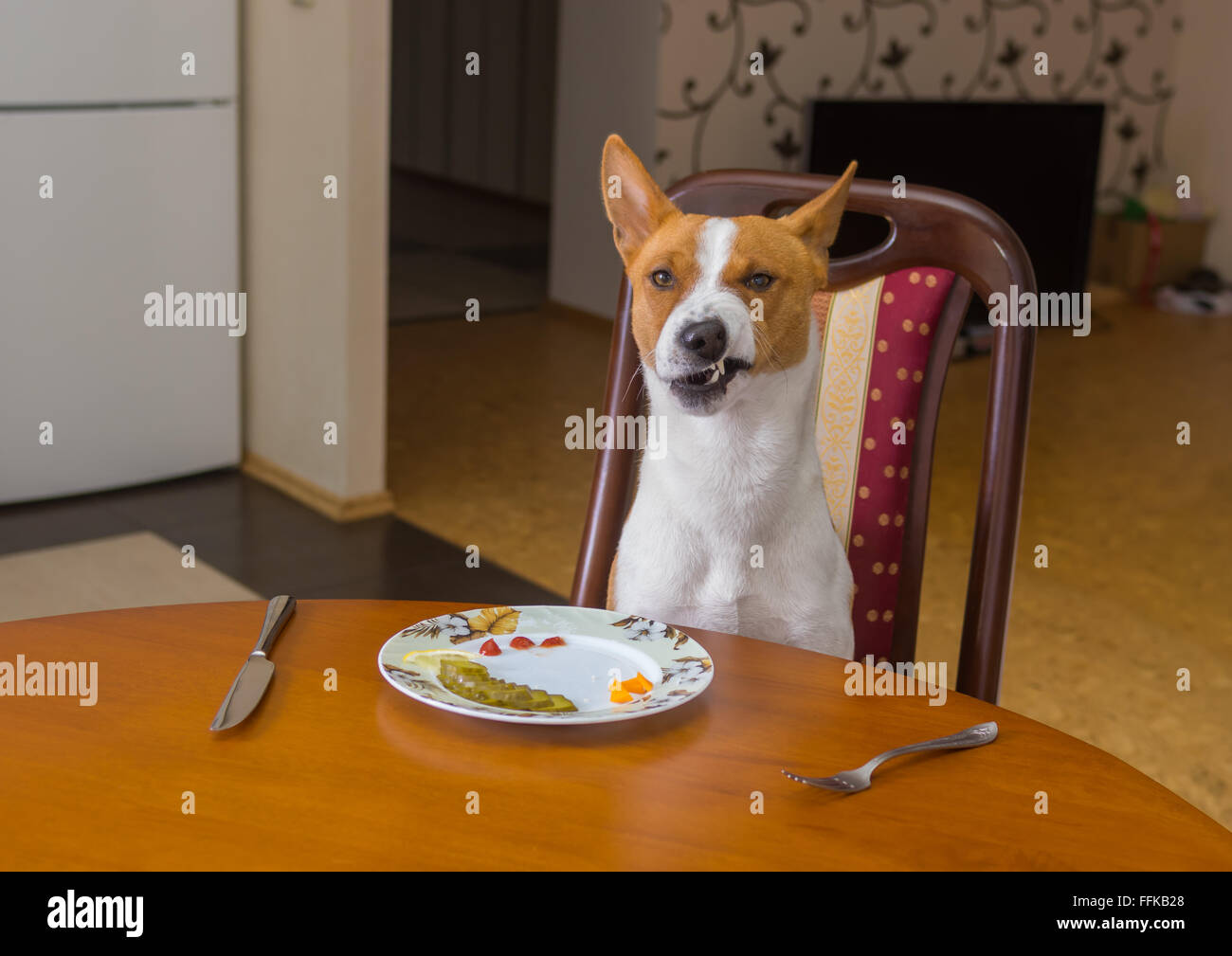 Waiting dinner african hi-res stock photography and images - Alamy