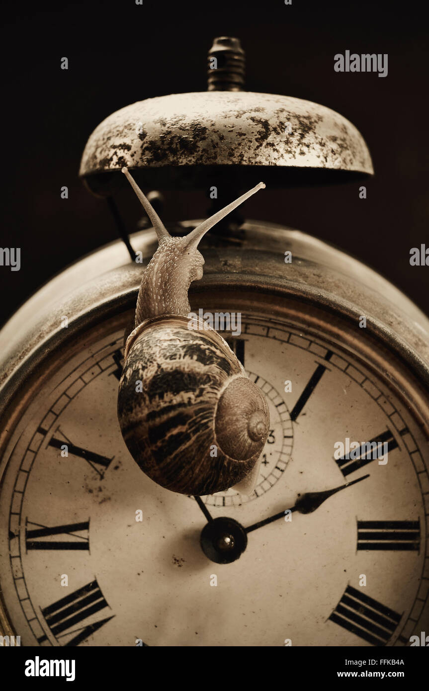 closeup of a land snail on an old and rusty alarm clock Stock Photo - Alamy
