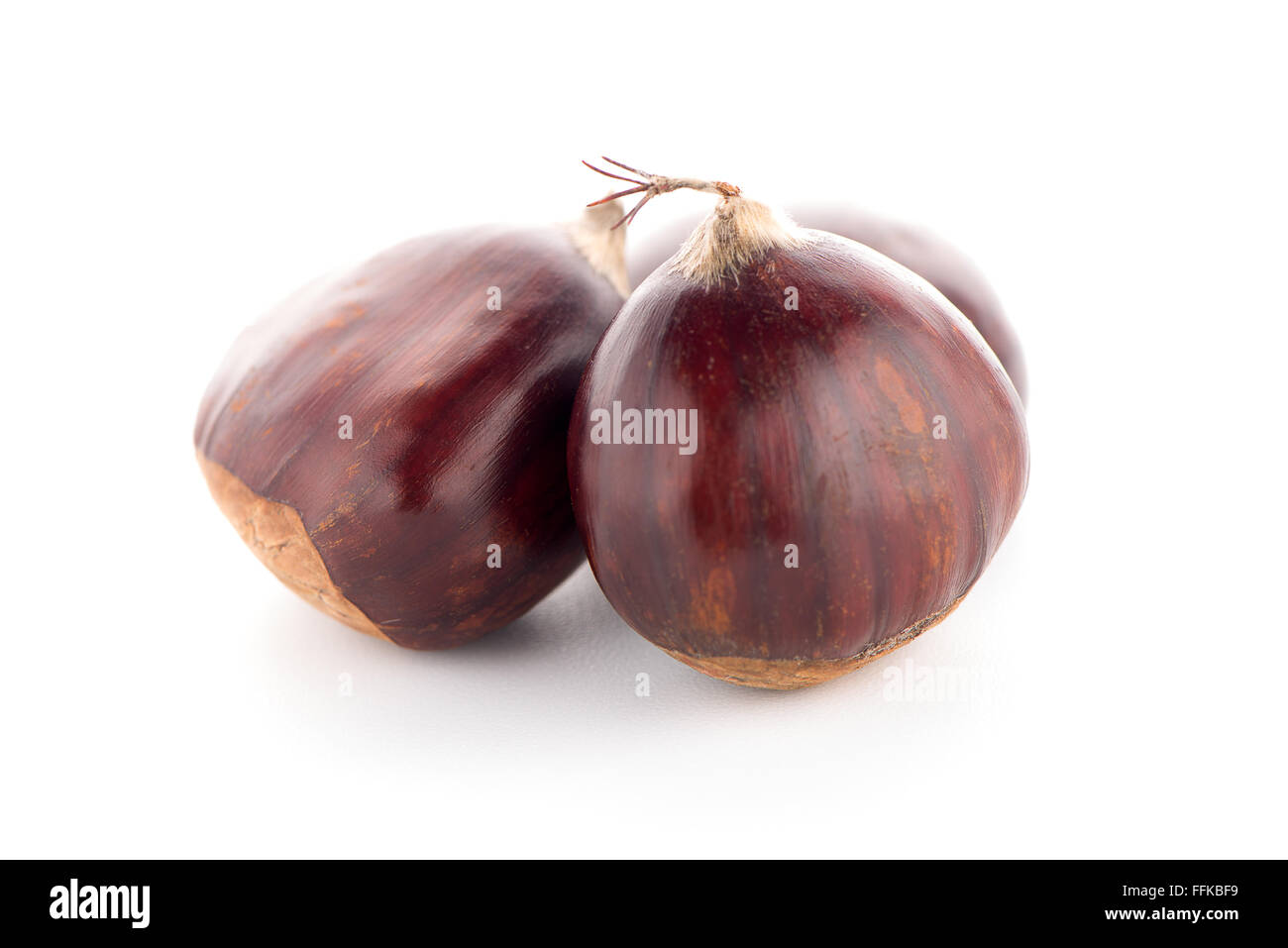 Chestnuts with shell isolated on white background Stock Photo - Alamy