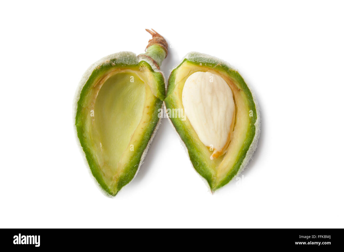 Fresh raw bitter almond in the pod on white background Stock Photo - Alamy