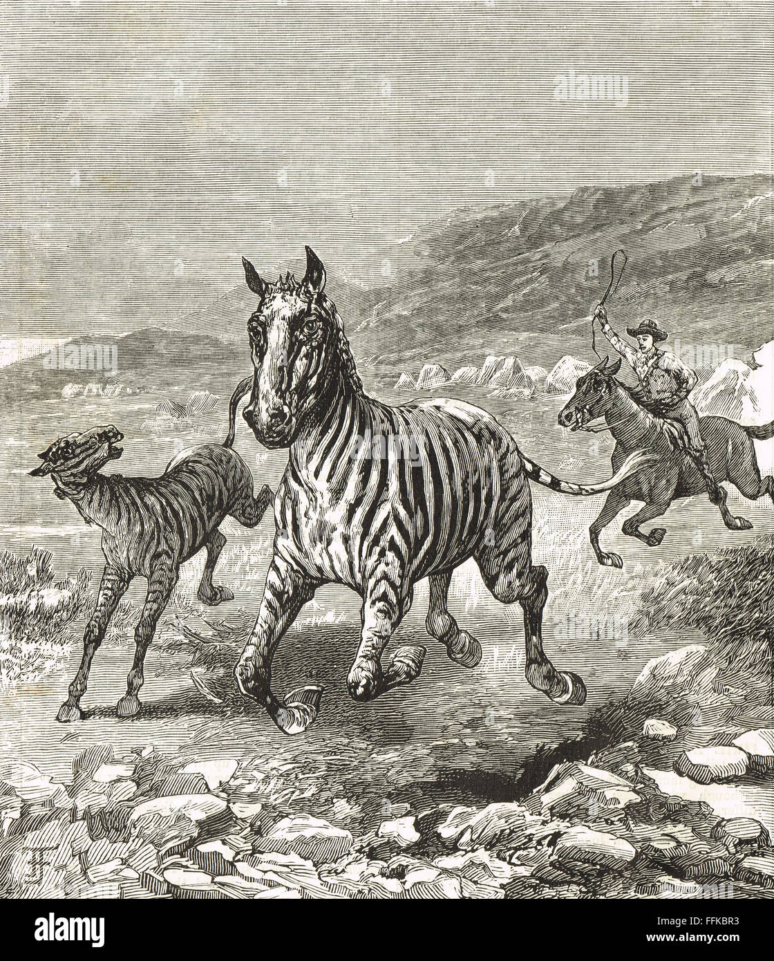 1900 engraving hi-res stock photography and images - Alamy