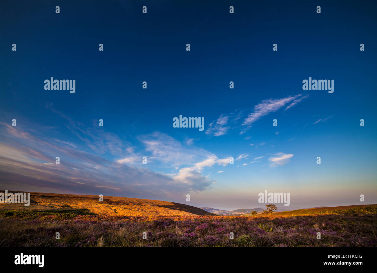 open blue sky's, looking into the distance over rolling hills Stock ...