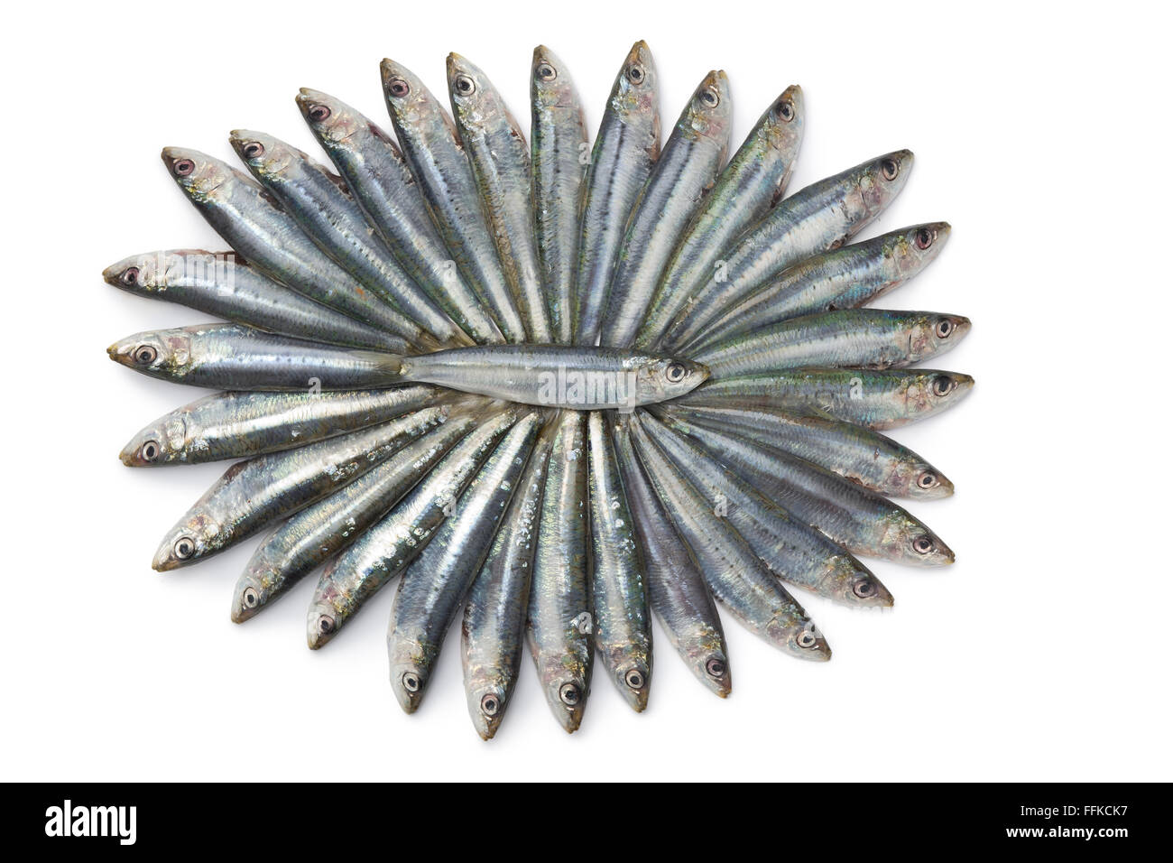 Fresh raw sardines in a nice pattern on white background Stock Photo ...