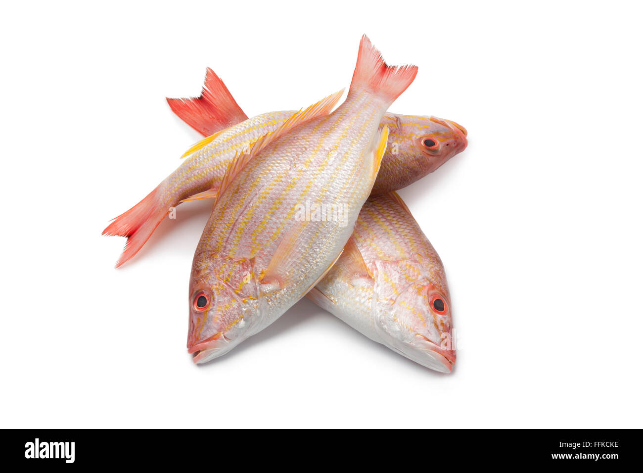 Lane snappers hi-res stock photography and images - Alamy