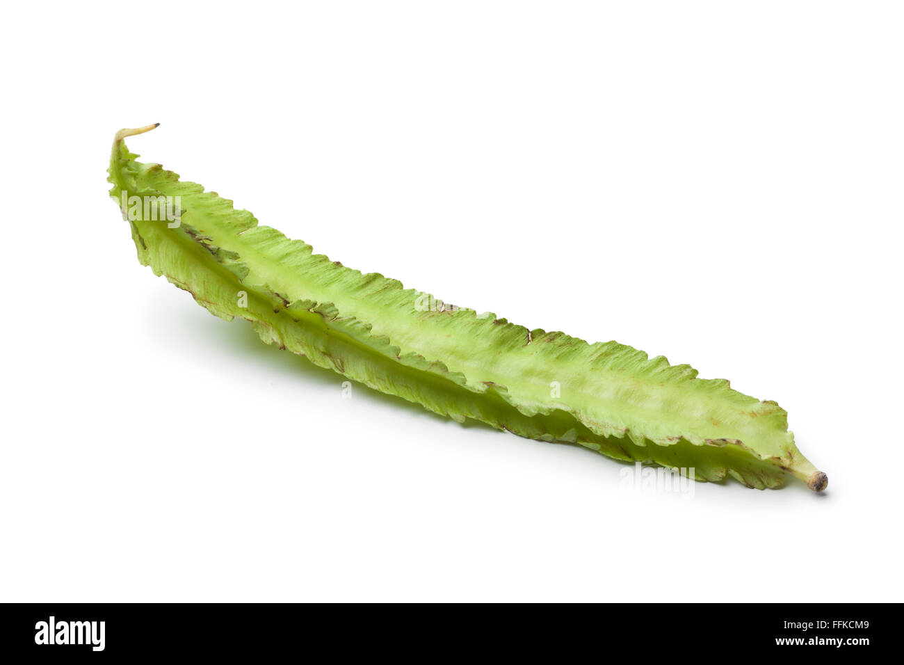 Winged bean hi-res stock photography and images - Alamy