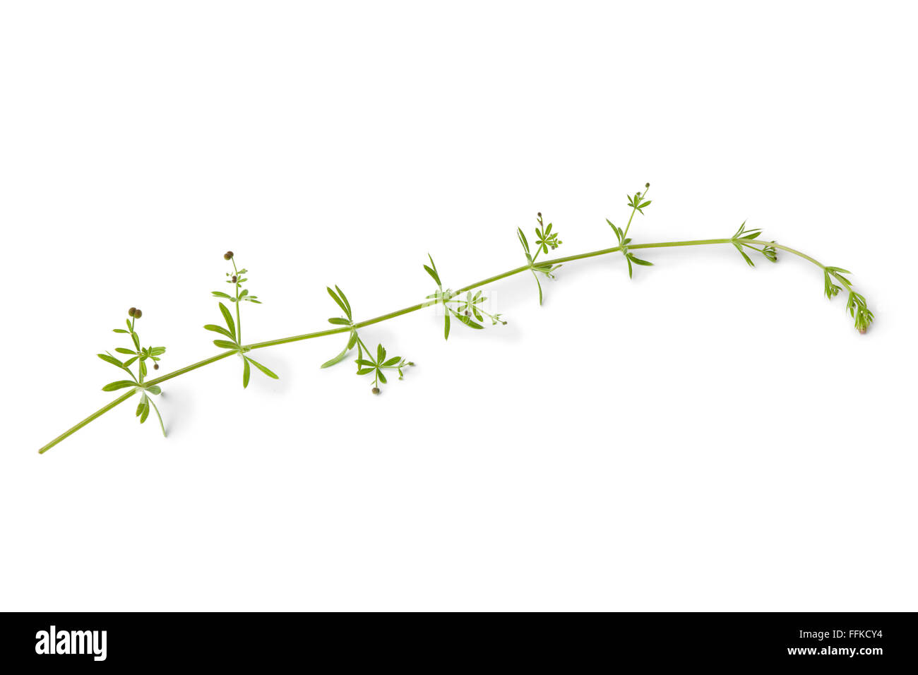 Cleavers hi-res stock photography and images - Alamy