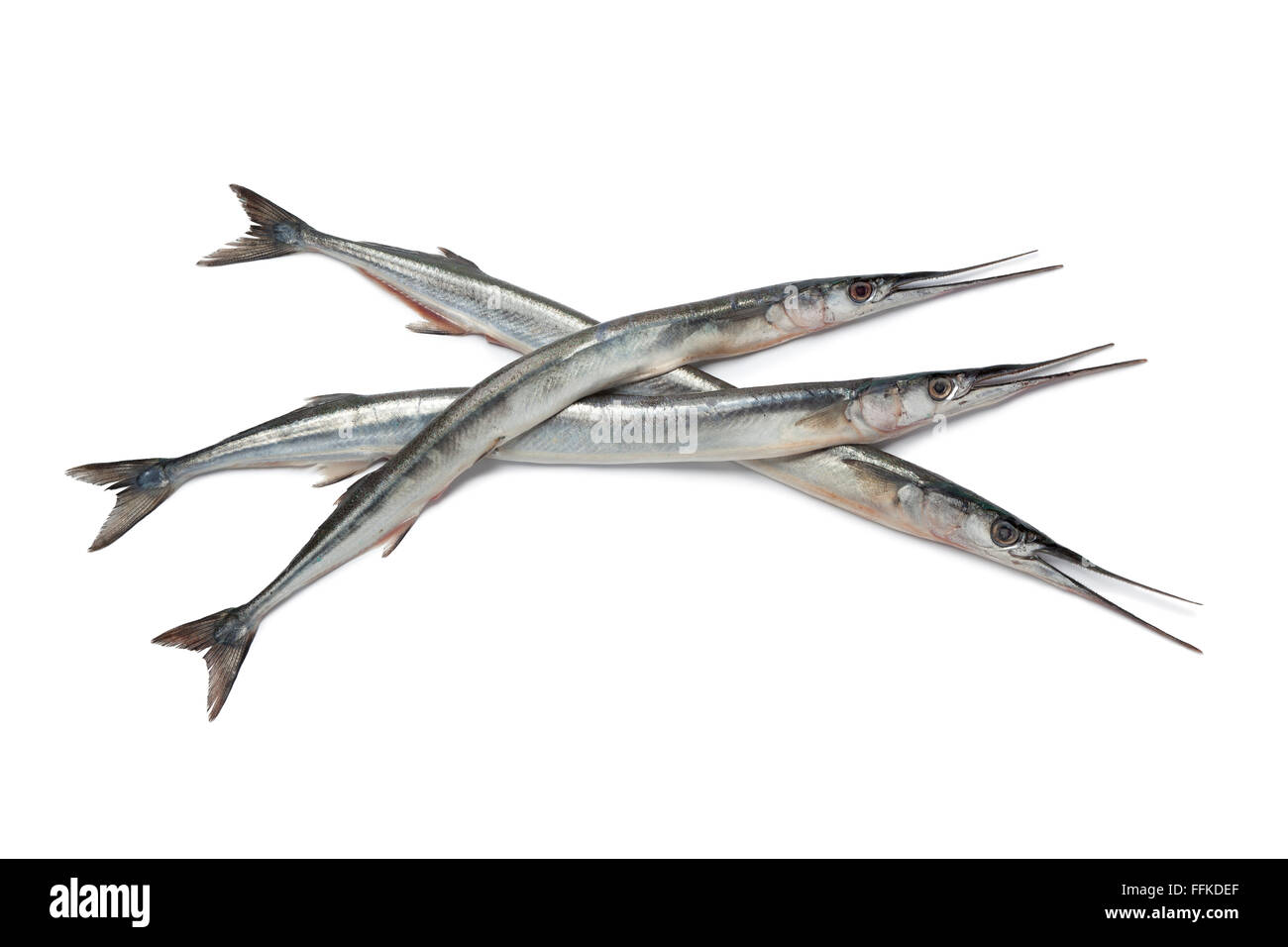 Fresh raw garfishes on white background Stock Photo - Alamy