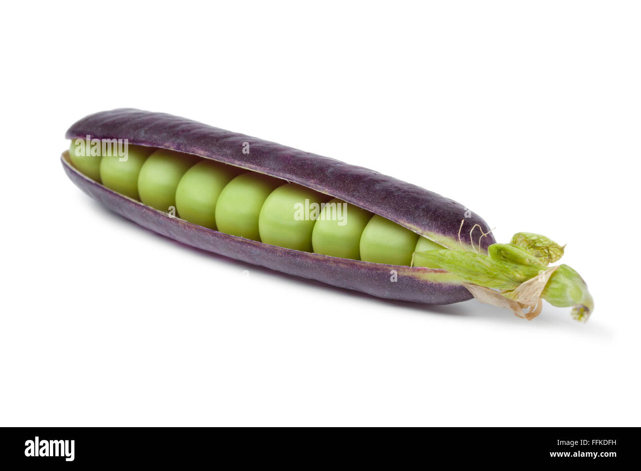 Fresh peas in purple pod on white background Stock Photo - Alamy