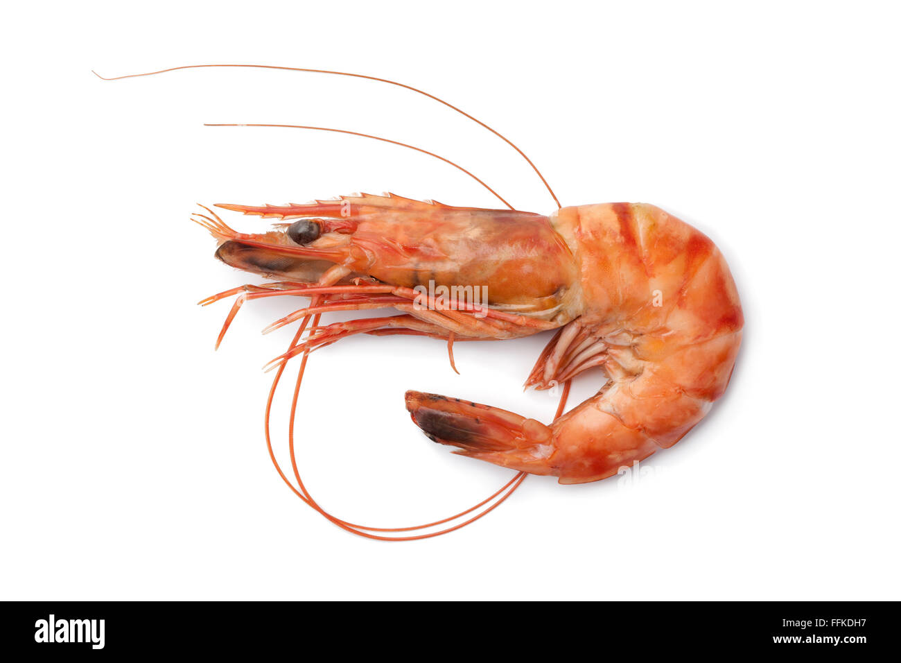 White shrimp Cut Out Stock Images & Pictures - Alamy