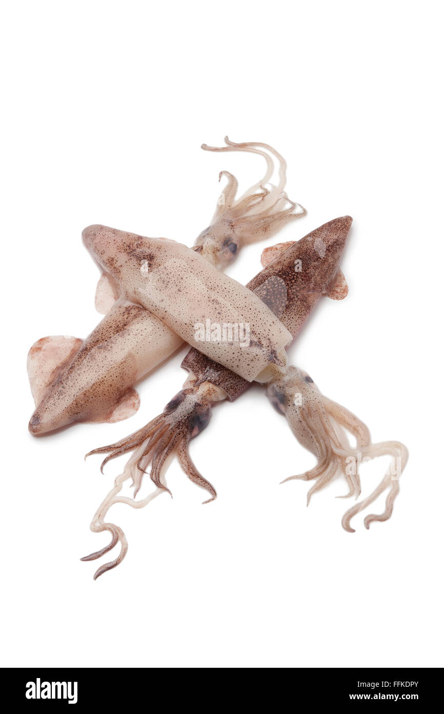Fresh raw squid on white background Stock Photo - Alamy