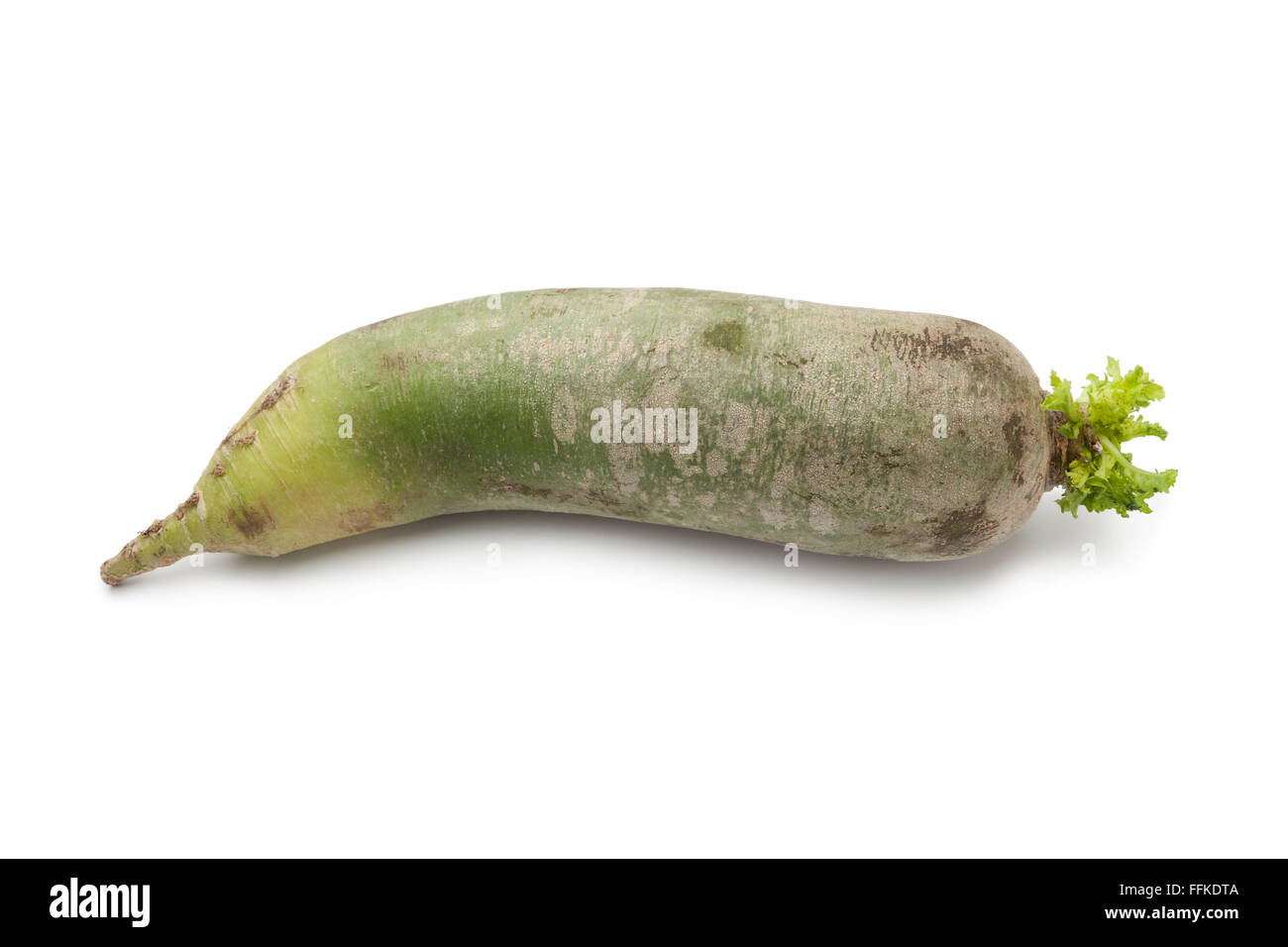 Fresh whole single green radish on white background Stock Photo - Alamy