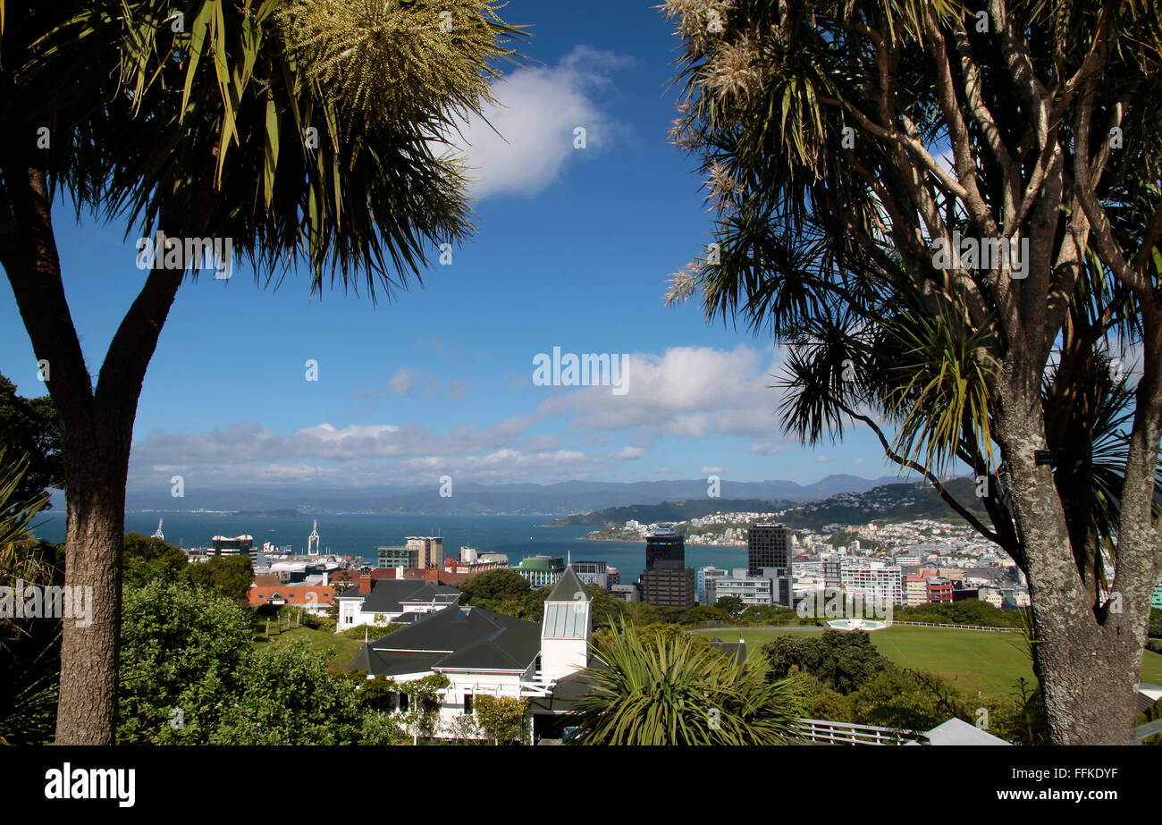 Wellington new zealand panorama hi-res stock photography and images - Alamy