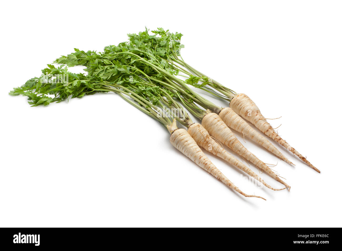 Root of parsley hi-res stock photography and images - Alamy