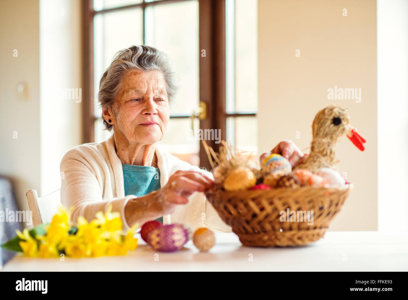 Senior woman arranging basket with Easter eggs and daffodils Stock ...