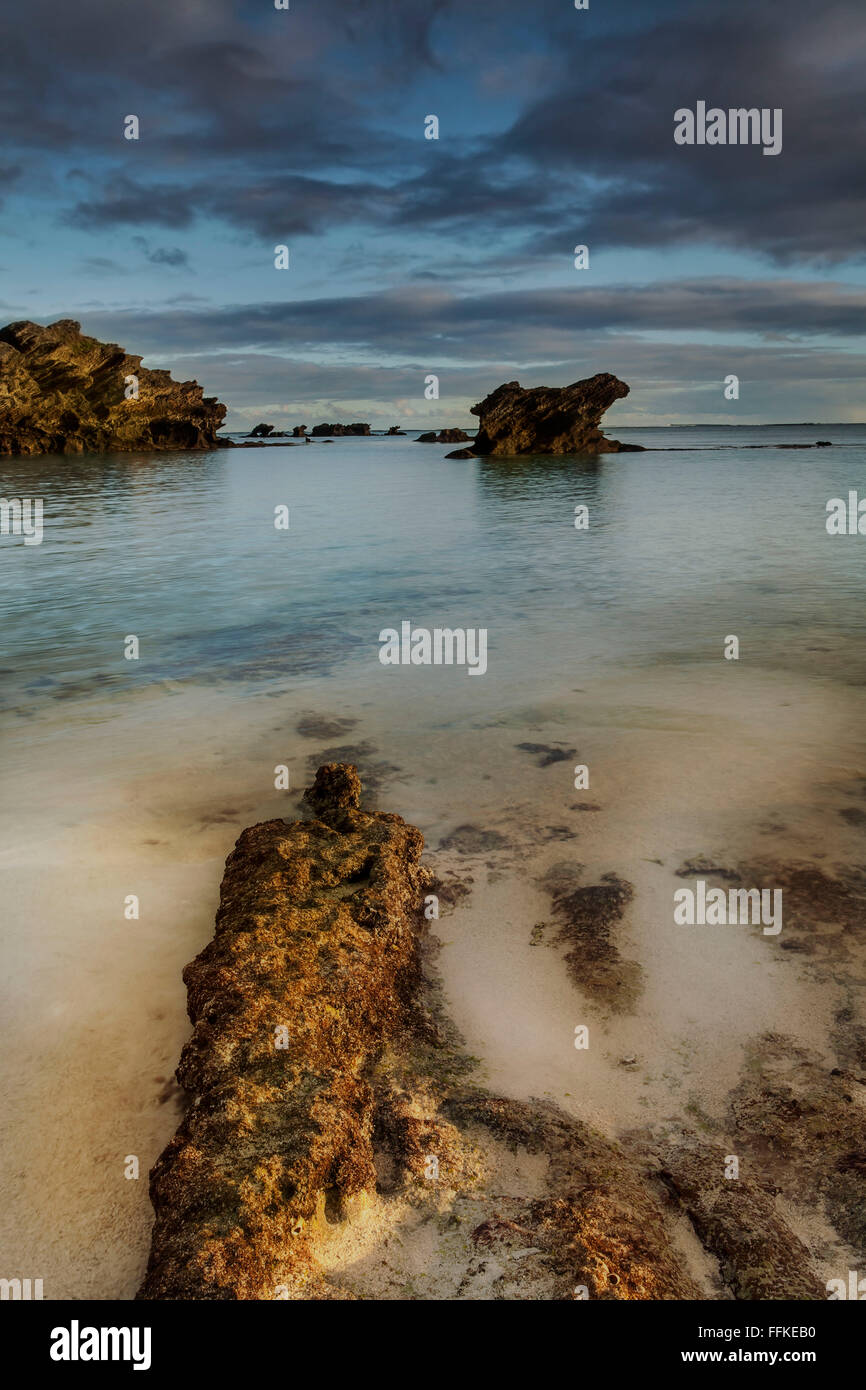 Creatures head hi-res stock photography and images - Alamy