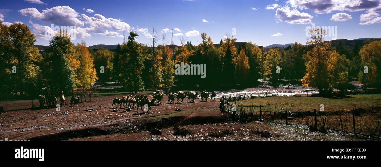 Litang County Sichuan Scenery Stock Photo - Alamy