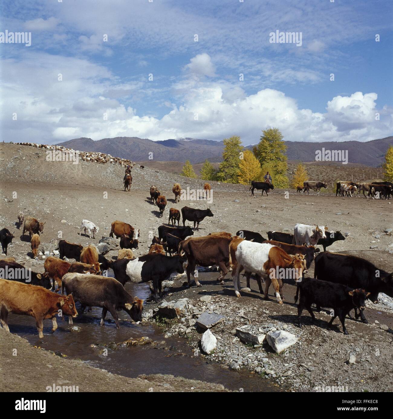 Litang County Sichuan Scenery Stock Photo - Alamy