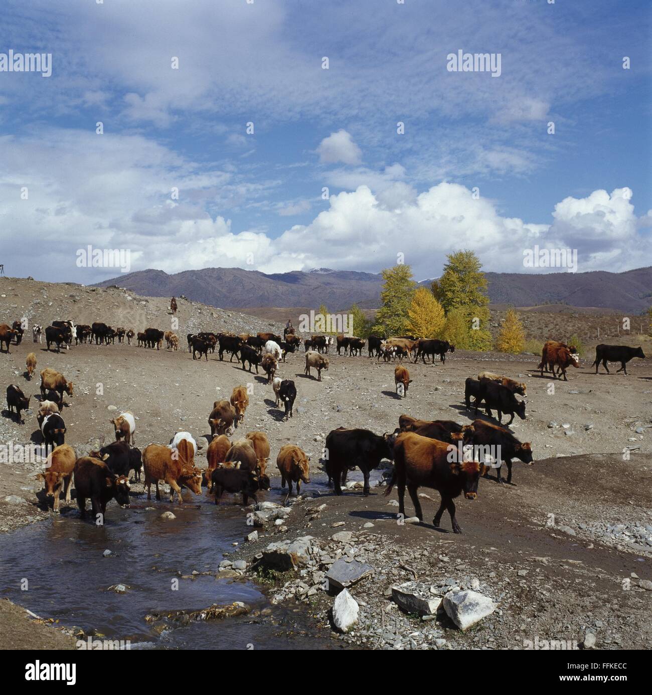 Litang County Sichuan Scenery Stock Photo - Alamy