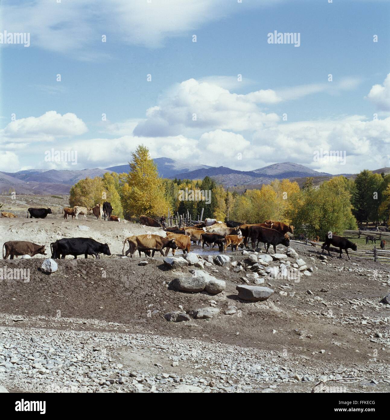 Litang County Sichuan Scenery Stock Photo - Alamy
