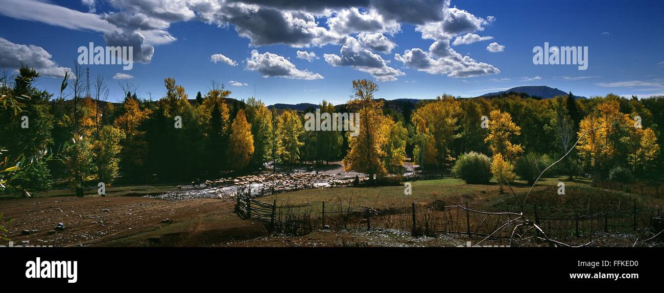 Litang County Sichuan Scenery Stock Photo - Alamy