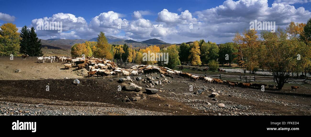 Litang County Sichuan Scenery Stock Photo - Alamy