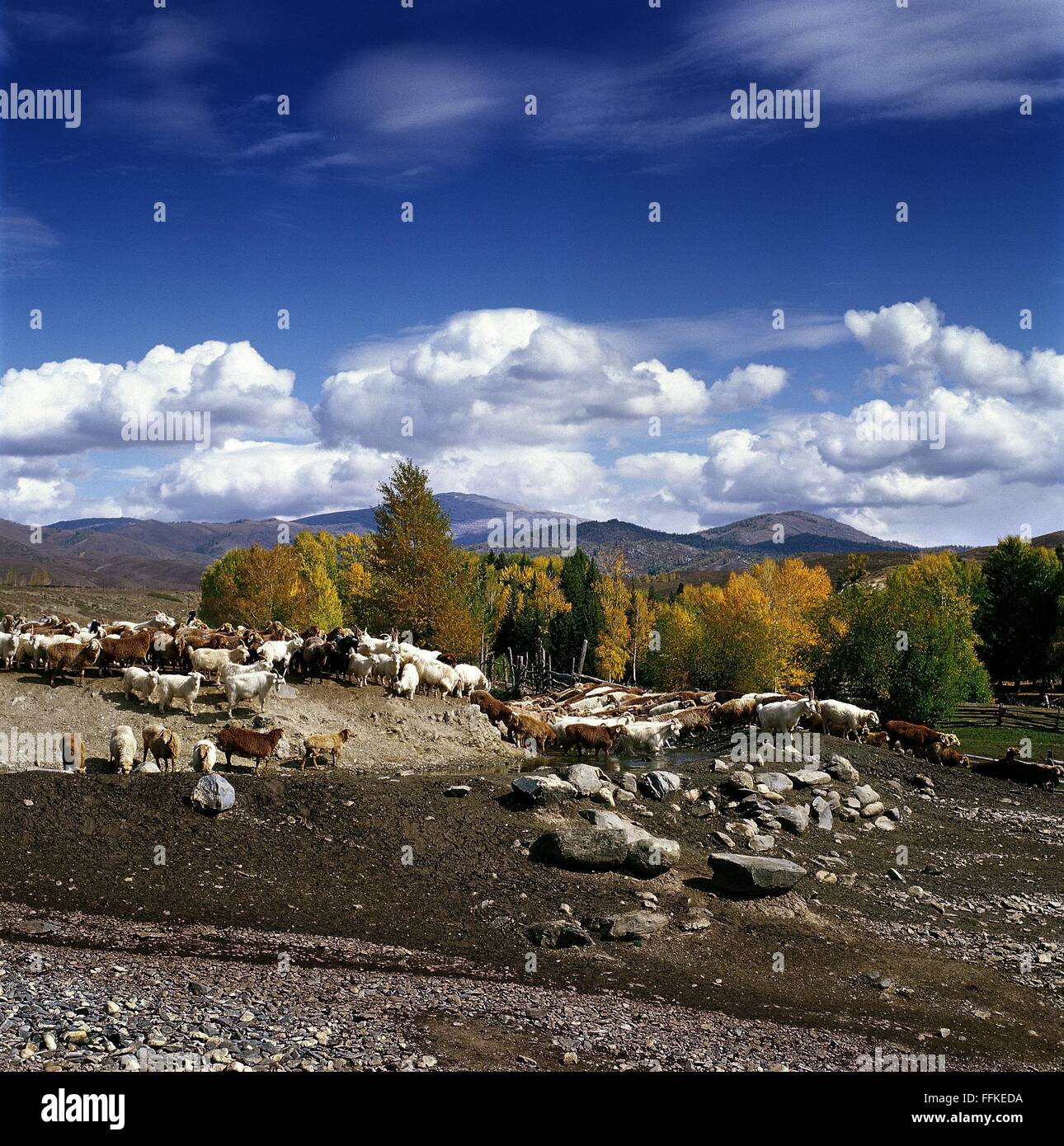 Litang County Sichuan Scenery Stock Photo - Alamy