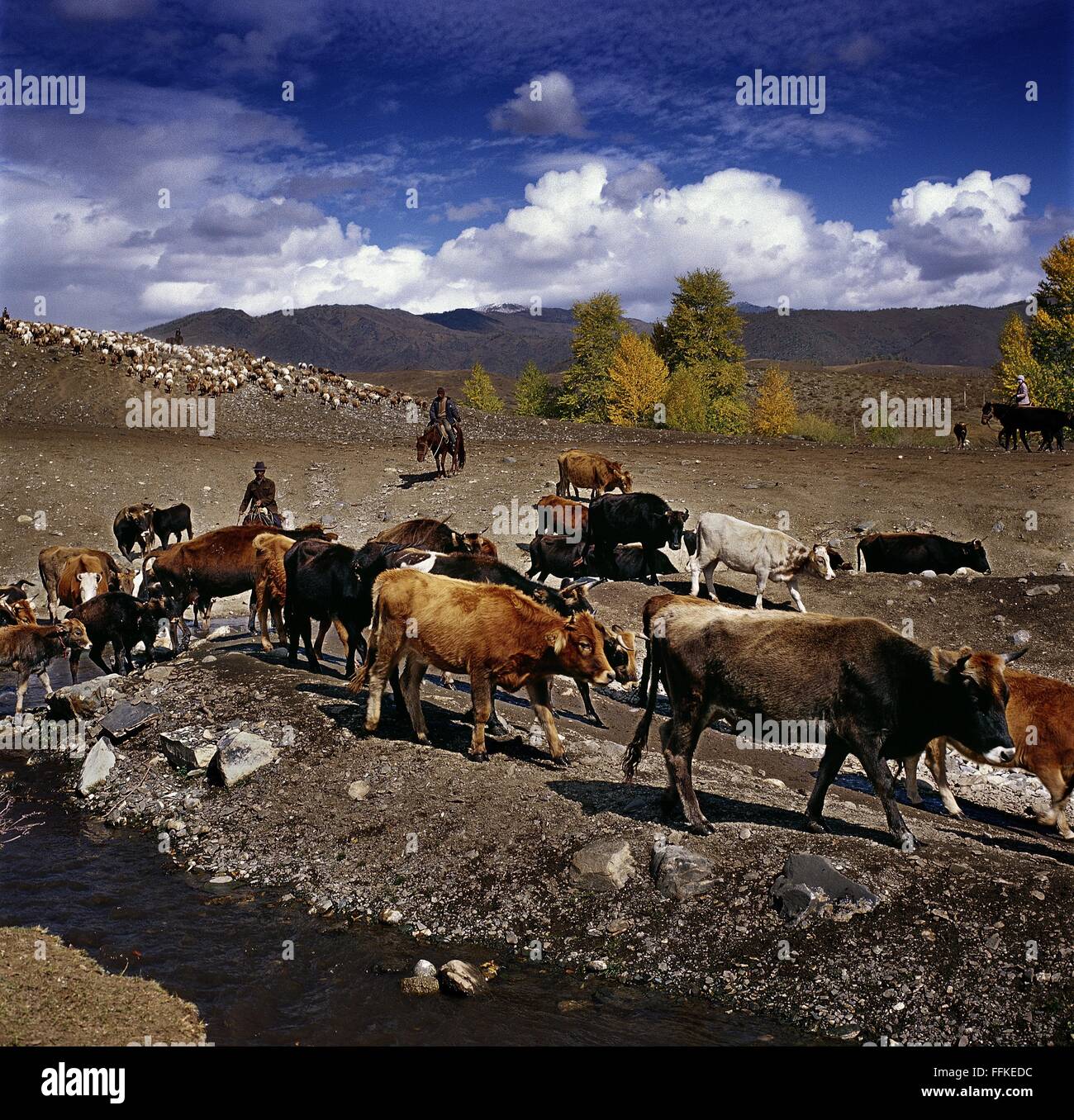 Litang County Sichuan Scenery Stock Photo - Alamy