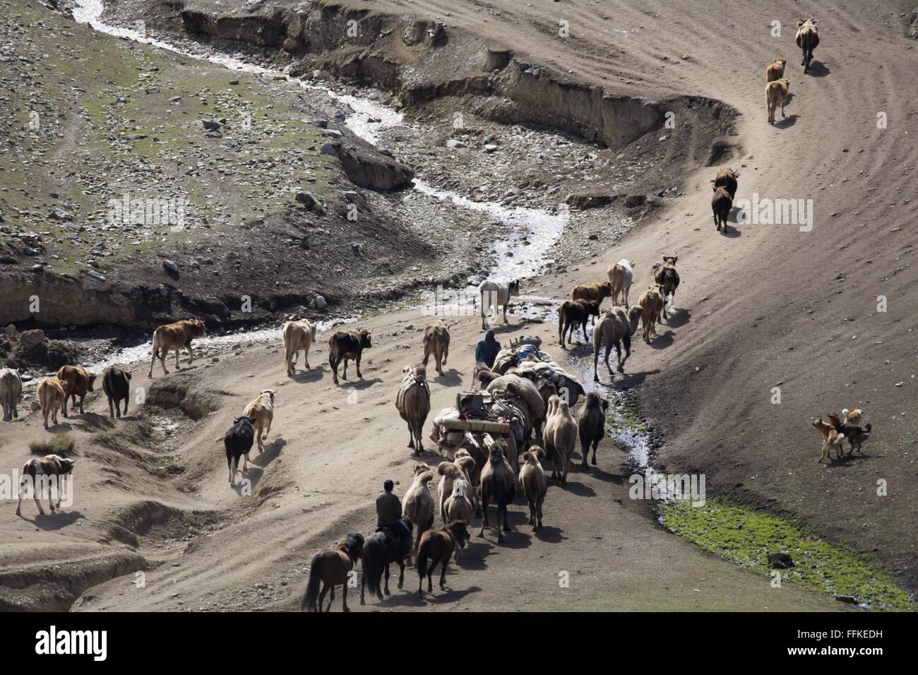 Litang County Sichuan Scenery Stock Photo - Alamy