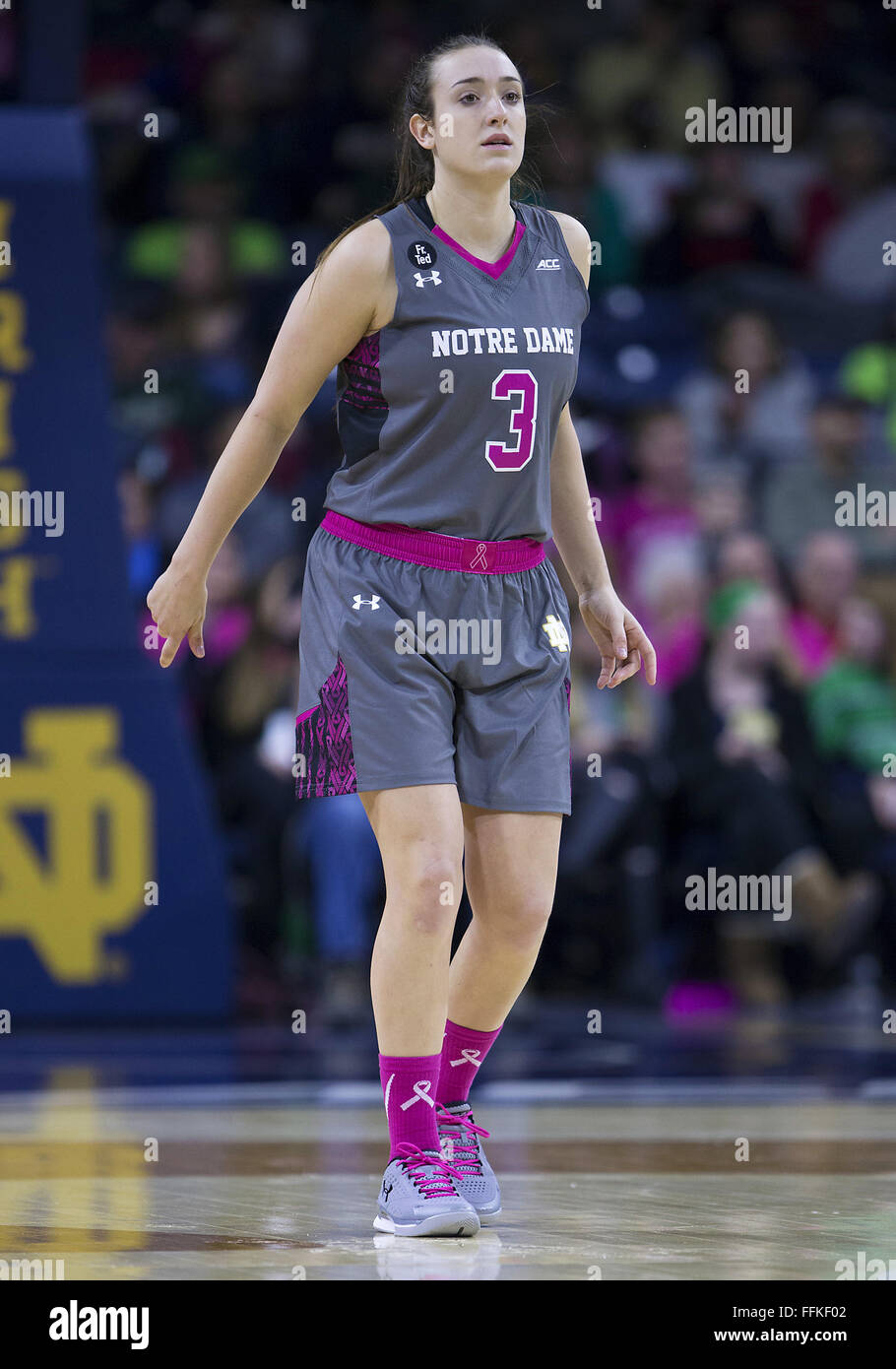 South Bend, Indiana, USA. 14th Feb, 2016. Notre Dame guard Marina ...