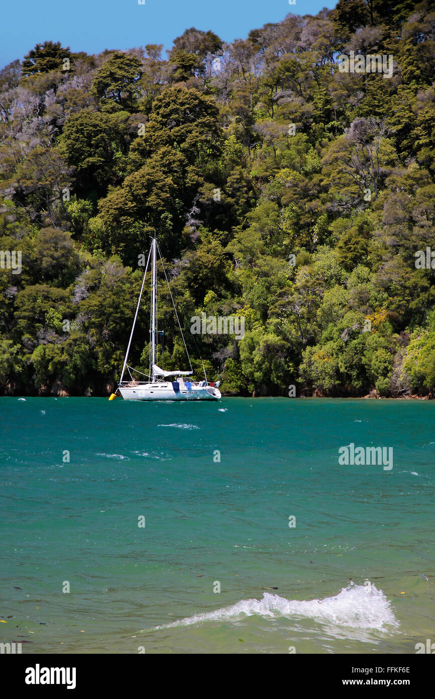 Marlborough sounds new zealand hi-res stock photography and images - Alamy