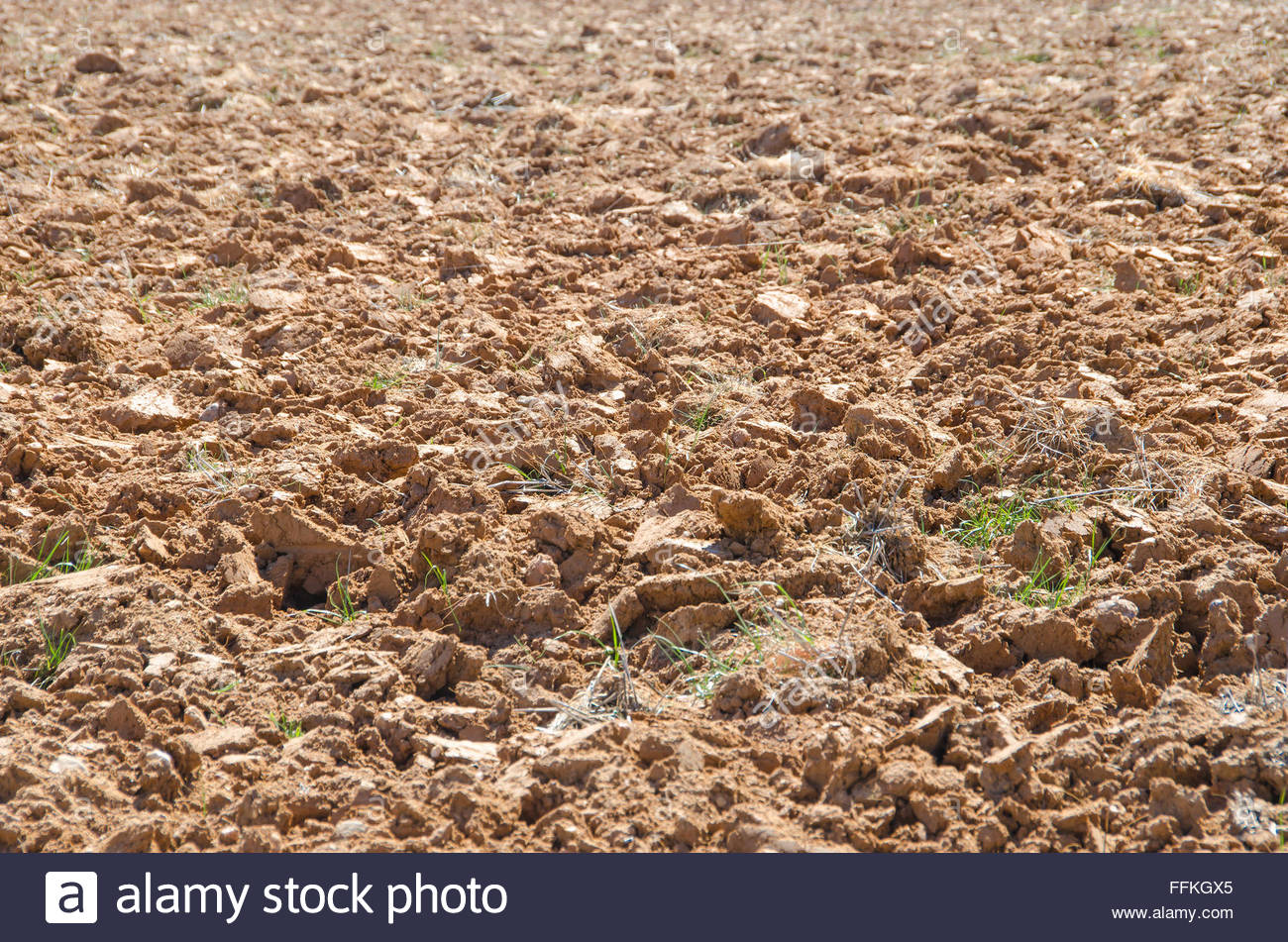 Plow Soil Stock Photos & Plow Soil Stock Images - Alamy