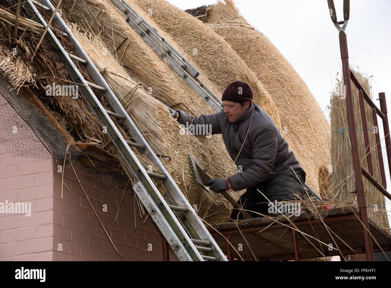 Thatcher using a leggett to dress the combed wheat reed on the roof of ...