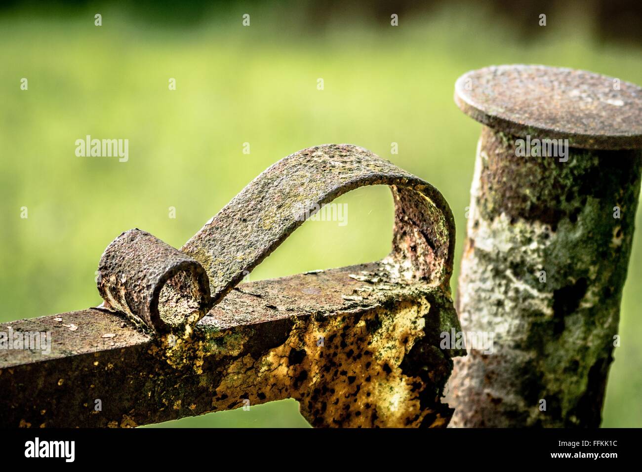 Detail rusted iron gate embellishment and gate post Stock Photo - Alamy