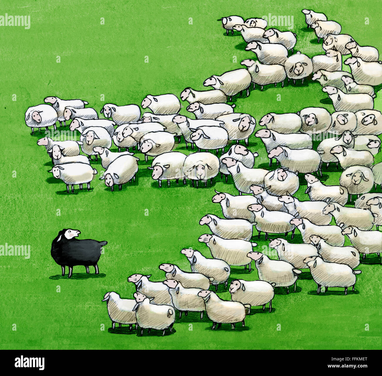 a flock that seen from above form a wolf who wants to eat the black ...